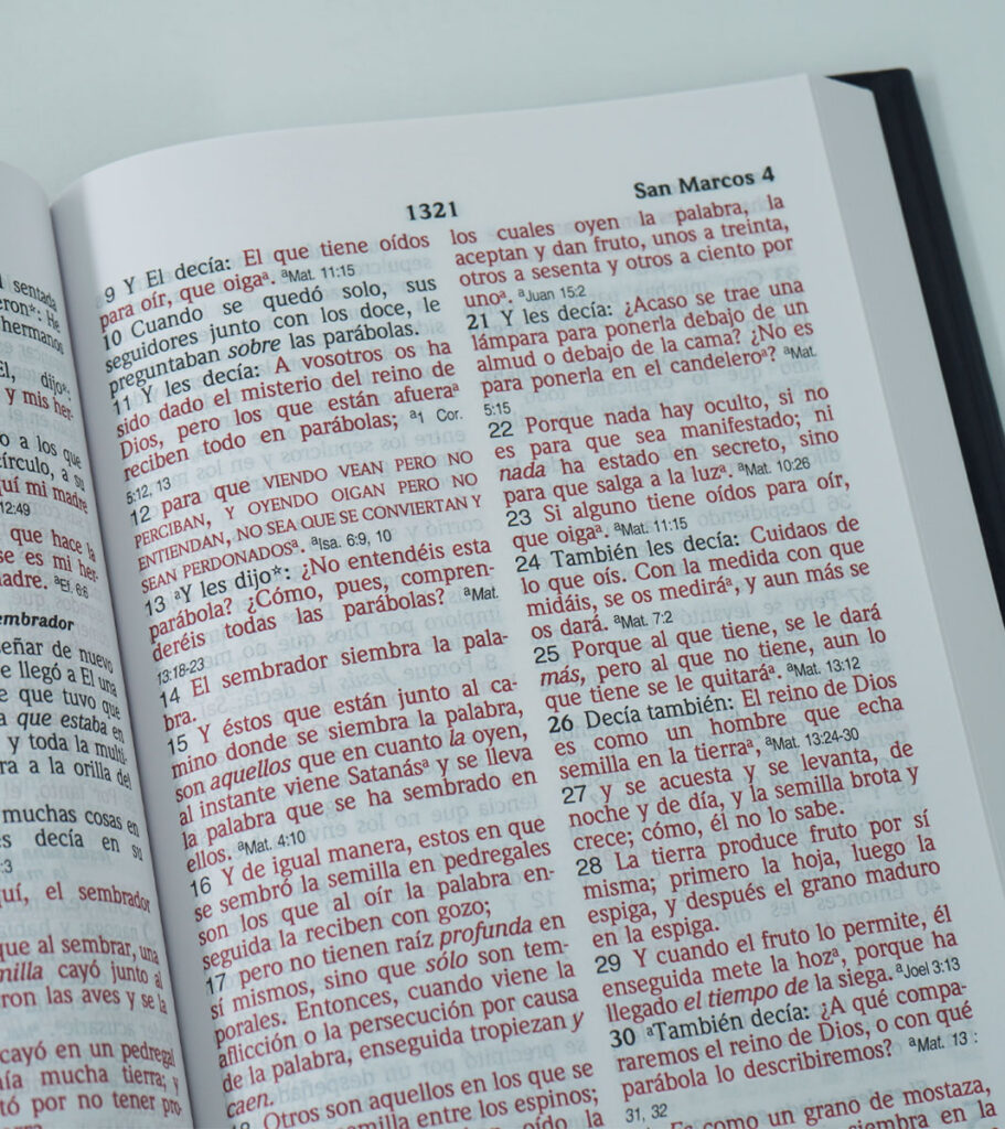 LBLA Biblia de las Americas, Letra Grande Tamaño Manual, tapa dura ...