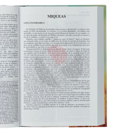 LBLA Biblia de Estudio de Las Americas - Tapa Dura | Libreria Peniel