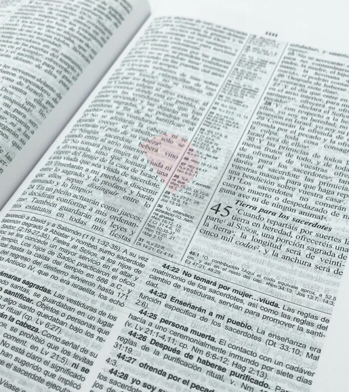 LBLA Biblia de Estudio de Las Americas - Tapa Dura | Libreria Peniel