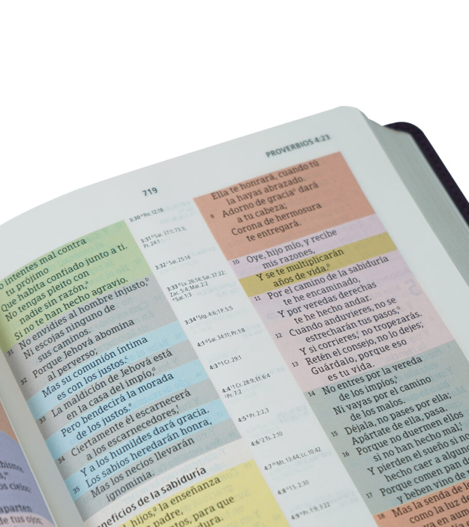 Biblia RV1960 de Estudio Arco Iris - Simil Piel Morado | Libreria Peniel