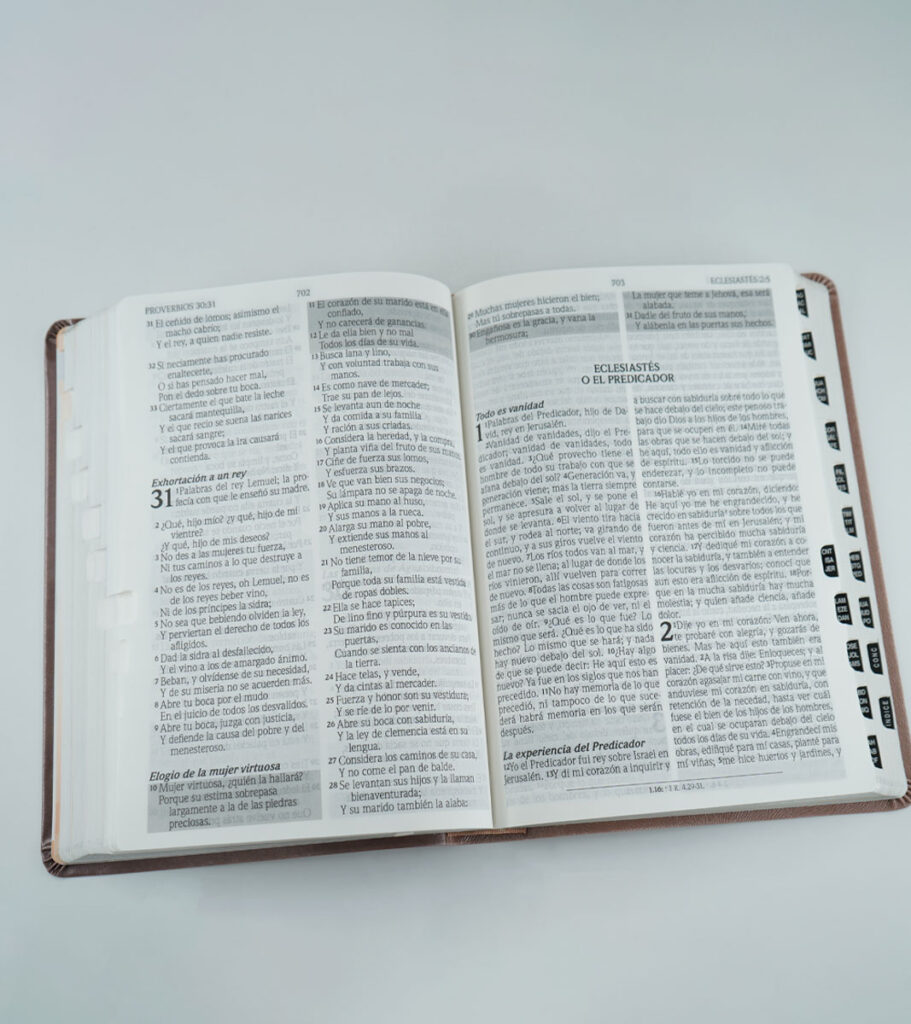 Biblia De Promesas Inspira RV1960 - Imitacion Piel Oro Rosado ...